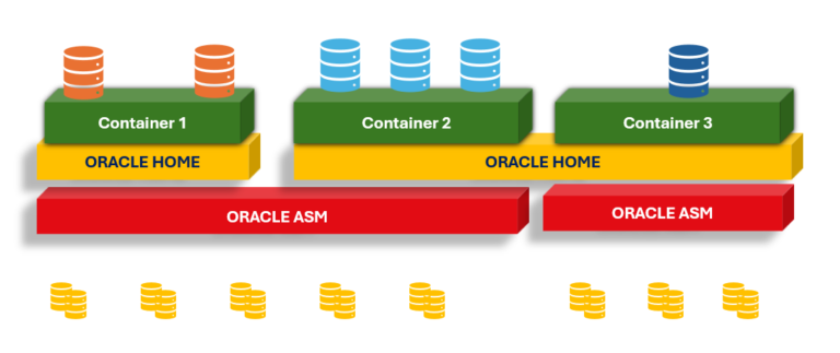 Oracle ASM 19c Installation: Complete Guide to Oracle Restart Grid ...